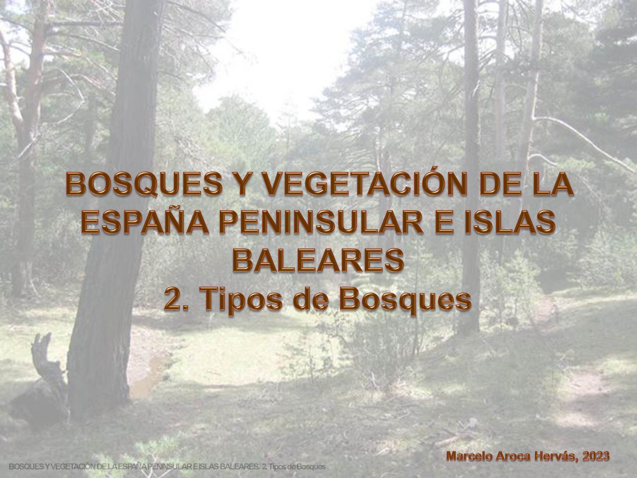 BOSQUES Y VEGETACIÓN DE LA ESPAÑA PENINSULAR E ISLAS BALEARES 2. Tipos ...