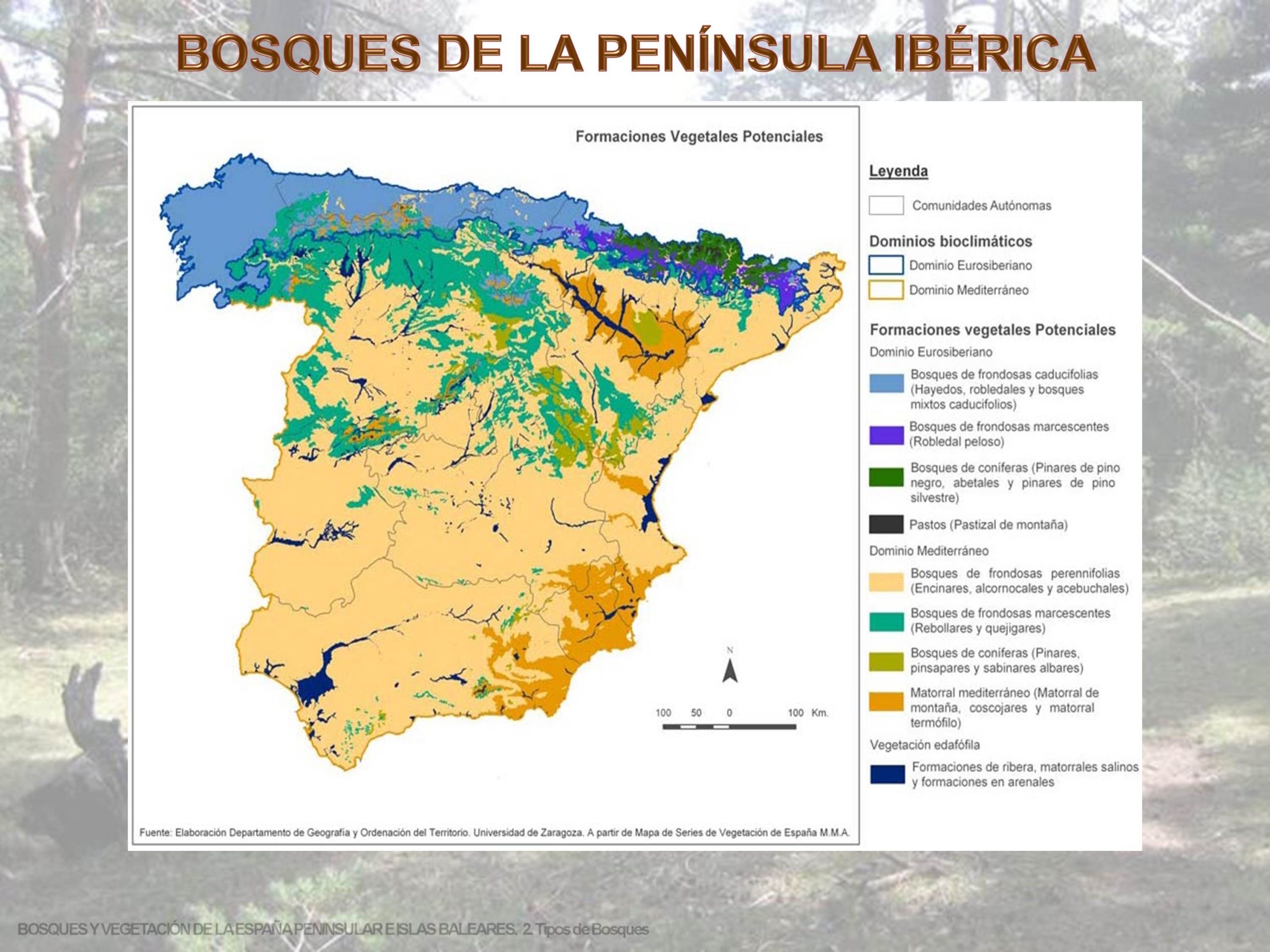 BOSQUES Y VEGETACIÓN DE LA ESPAÑA PENINSULAR E ISLAS BALEARES 2. Tipos ...